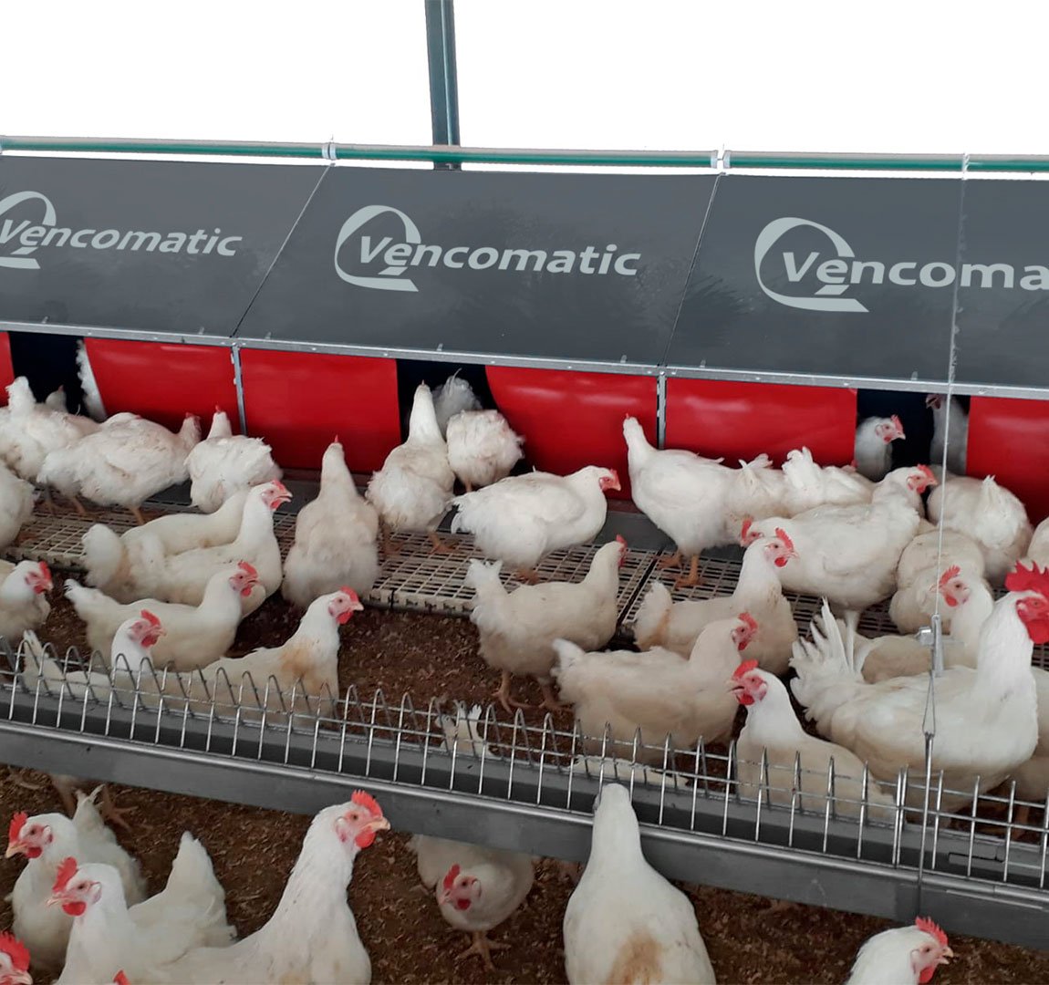 Vencomatic Nest Condor - Vencomatic Group